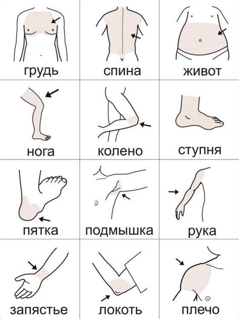 Части тела, Тело, Для детей