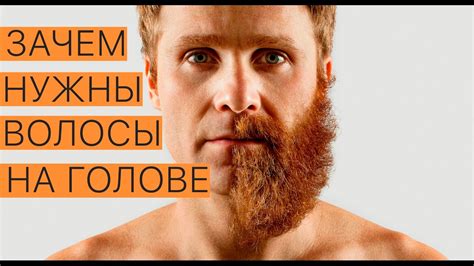 ЗАЧЕМ НАМ ВОЛОСЫ НА ГОЛОВЕ ? - YouTube