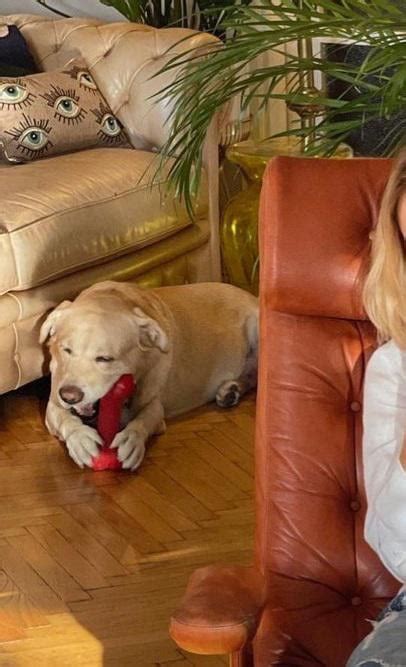 This dog's toy looks like a dildo - 9GAG