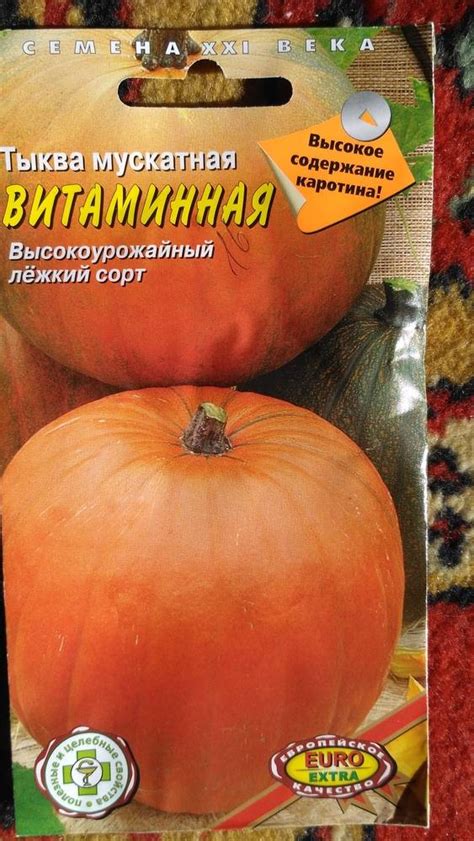 Тыква витаминная мускатная: описание сорта и фото, отзывы, выращивание