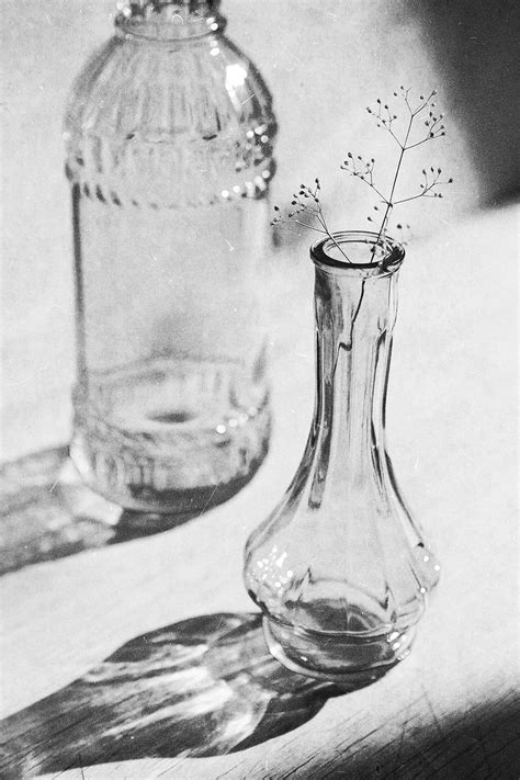 «Черно-белая фотография» Nature Photography Flowers, Glass Photography ...