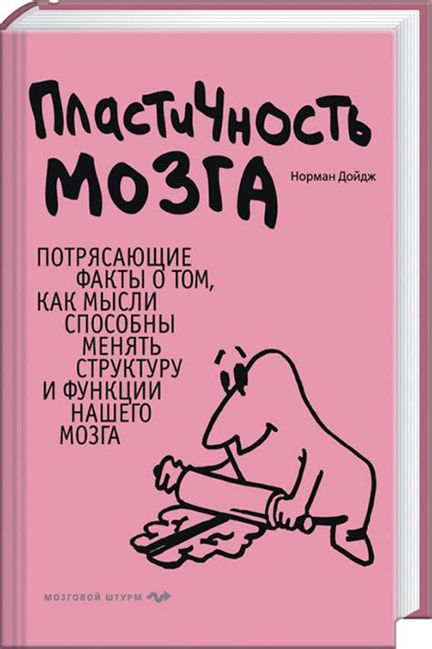 Пластичность мозга - Высшая Школа Коучинга