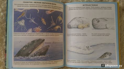 Книга: Тайны моря - . Купить книгу, читать рецензии | Лабиринт