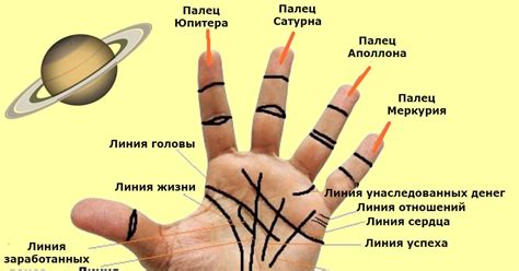 Хиромантия для начинающих