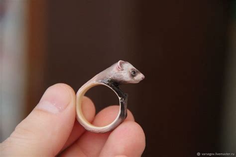 Кольцо Хорек/ Хорь/ Хорьки/ Для Хорьков/ Ferret/ Ferret Ring в интернет ...