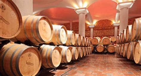 Ohrid: Stobi Wine Day Tour - EuropaAdventure