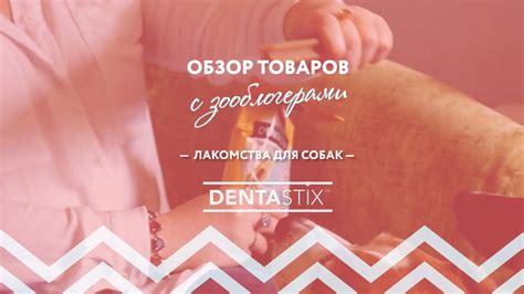 Лакомство Denta Stix от Pedigree для здоровья зубов вашей собаки - YouTube