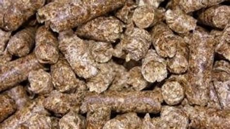 Шротове и използването им за хранене на животните | Agri.BG