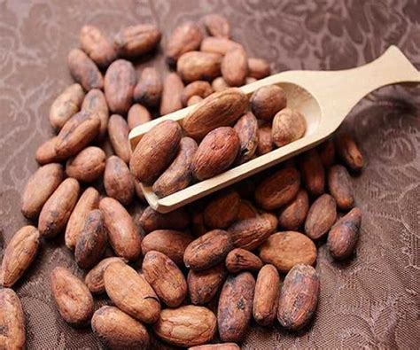 Какао Боби Criollo Органічні сирі 0,5 кг.: 655 грн. - Продукти ...