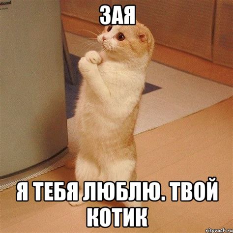 зая я тебя люблю. твой котик, Мем котэ молится - Рисовач .Ру