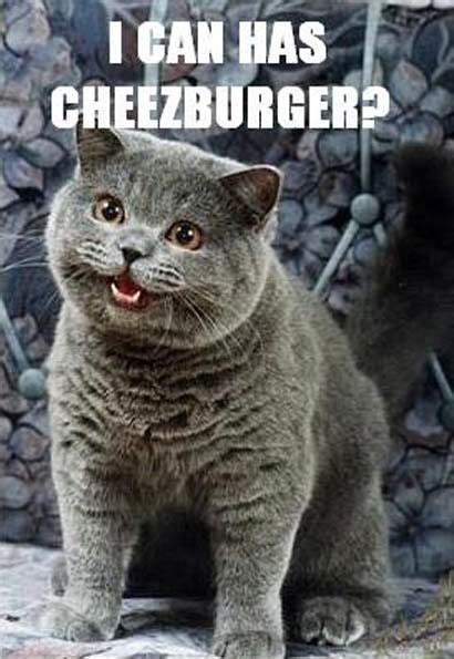 Top 10: Die zehn besten Internet Memes