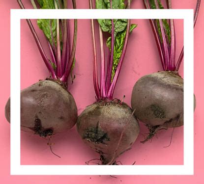 Go Zenbu with ZENB's whole veggie snacks - BALANCE