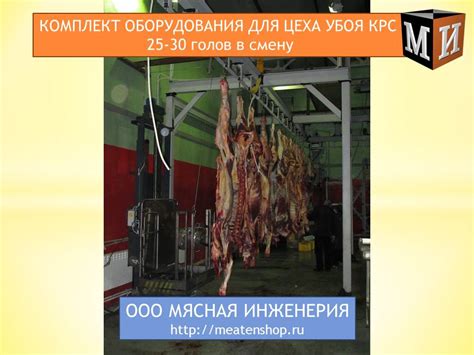 Комплект (подборка) оборудования для цеха убоя КРС 25-30 голов в смену ...