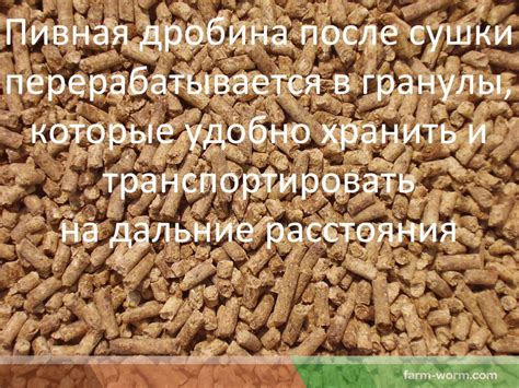 Утилизация пивной дробины дождевыми червями - Диптера