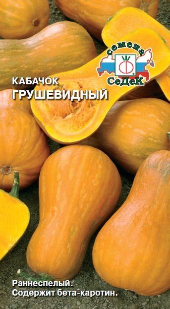 Кабачок Грушевидный: описание и характеристики сорта, особенности ...