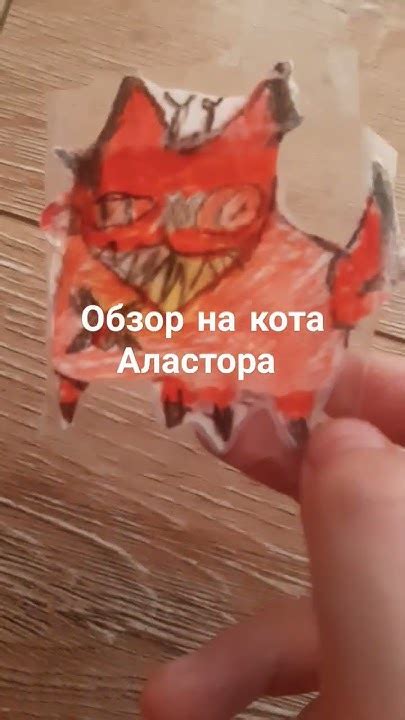 обзор на кота Аластора - YouTube
