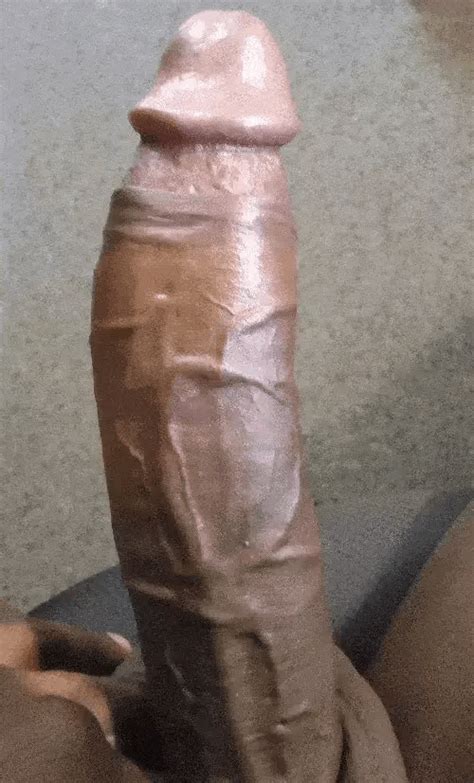 BBC Babecock - timmy012000