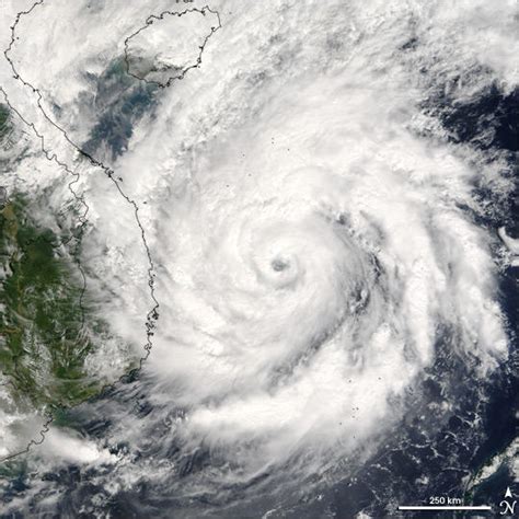Voyage Of Symbiosis: Typhoon (2005)