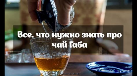 Что такое габа улун. RealChinaTea.ru - YouTube