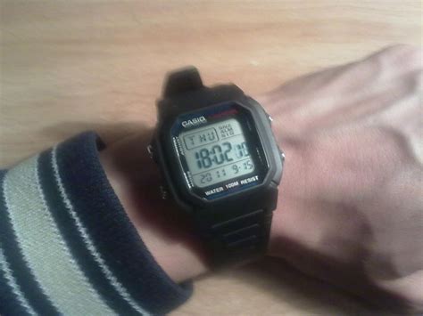 Venta > reloj casio w800 > en stock