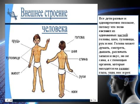 Презентация для детей старшего дошкольного возраста на тему: "Строение ...