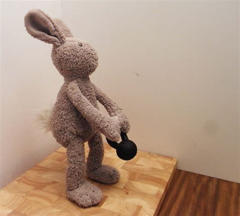 Rabbit exercises — Simon Freedman Physical Therapist