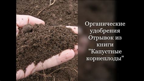 ОРГАНИЧЕСКИЕ УДОБРЕНИЯ. Виды органических удобрений. - YouTube