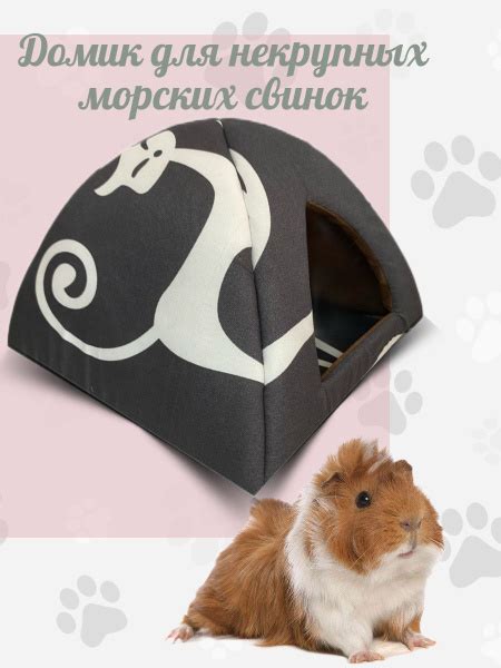 Домик для крупных морских свинок,белок,шиншилл. - купить с доставкой по ...