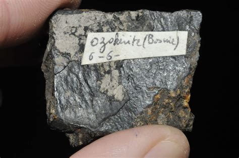 Ozokérite de Bosnie (ex Deyrolle)