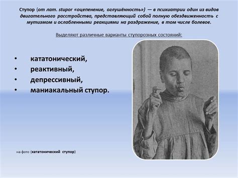 Презентация - Ступор » Привет Студент!