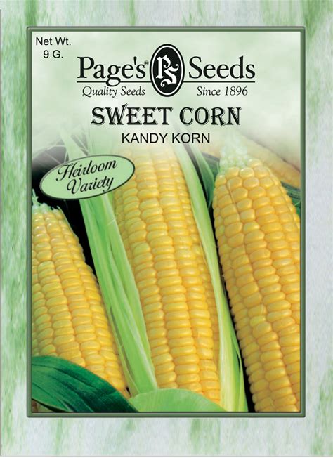 Sweet Corn Kandy Korn | The Page Seed Company, Inc