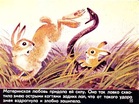 Э.Сетон-Томпсон. Рваное ушко
