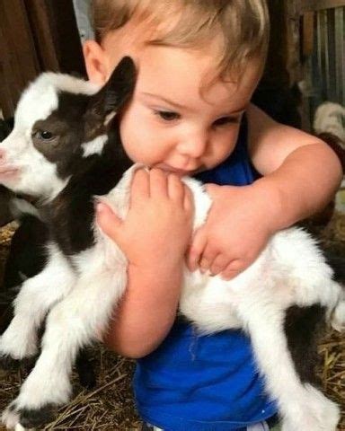 Одна капля Добра | OK.RU | Baby animals, Animals for kids, Cute animals