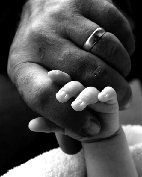 Two Hands 1 Free Photo Download | FreeImages