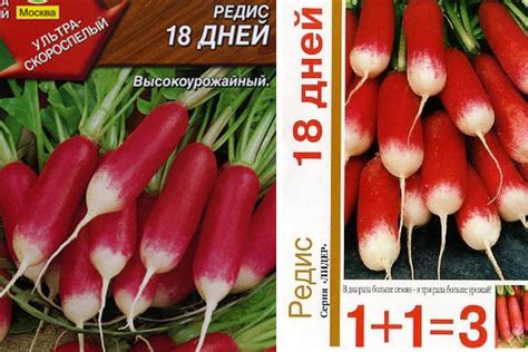 Редис 18 дней: отзывы, характеристика и описание сорта, фото ...