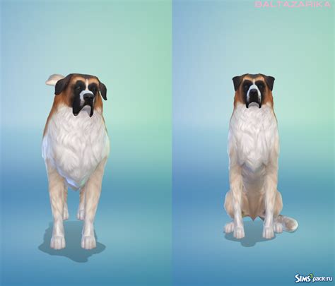 Животные для Симс 4 Питомцы - скачать бесплатно питомцев для Sims 4