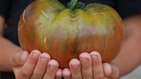Самый сладкий продукт в мире, самые сладкие блюда на планете