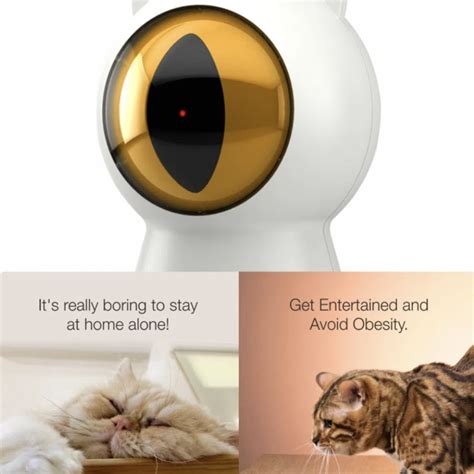 Petoneer Smart Dot – Gioco Interattivo con Puntatore Laser per Animali ...
