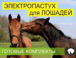 Электроизгородь купить в Москве и Барнауле, стоимость электроизгороди ...
