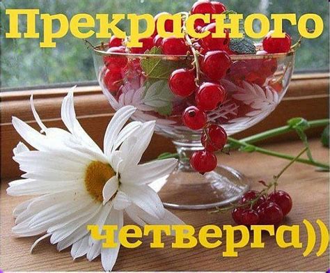 Если каждое утро вы будете просыпаться с мыслью о том, что сегодня ...