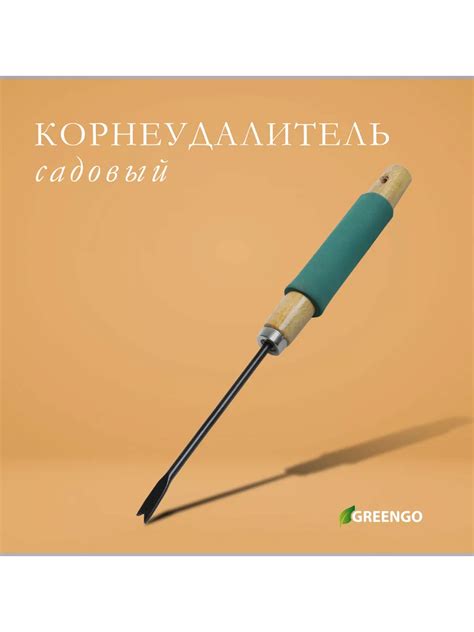Wildberries — интернет-магазин модной одежды, обуви и аксессуаров