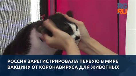 Российская газета - Home | Facebook