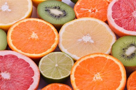Variety of Juicy Citrus Fruits Stock Image - Image of green, fruit ...