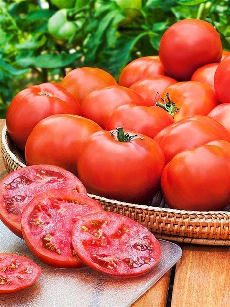 Томат Хайнц (Heinz)