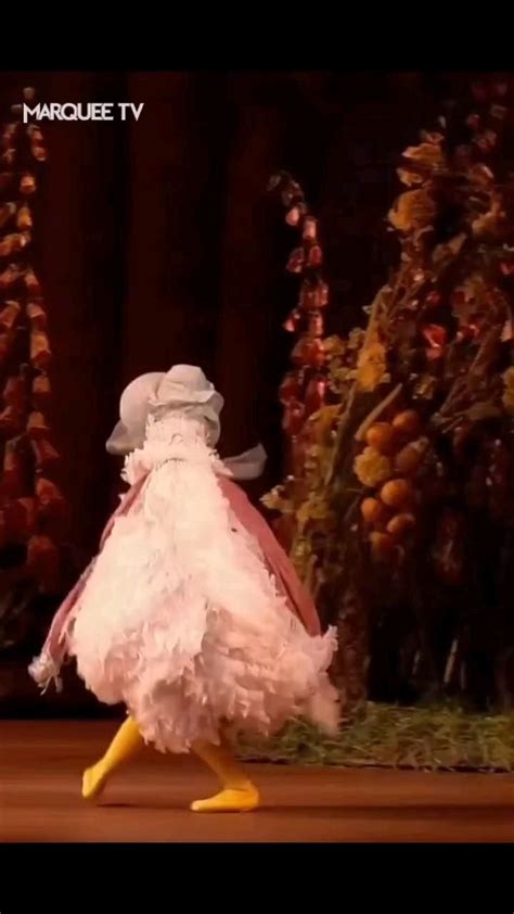 Балет Сказки Беатрикс Поттер😊 | Танец, Танцоры, Беатрис поттер