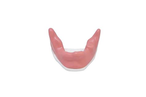Купить Prodent PD-HN Модель беззубой нижней челюсти для хирургии по ...