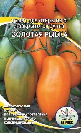 Томат золотая рыбка: характеристика и описание сорта помидоров, его ...