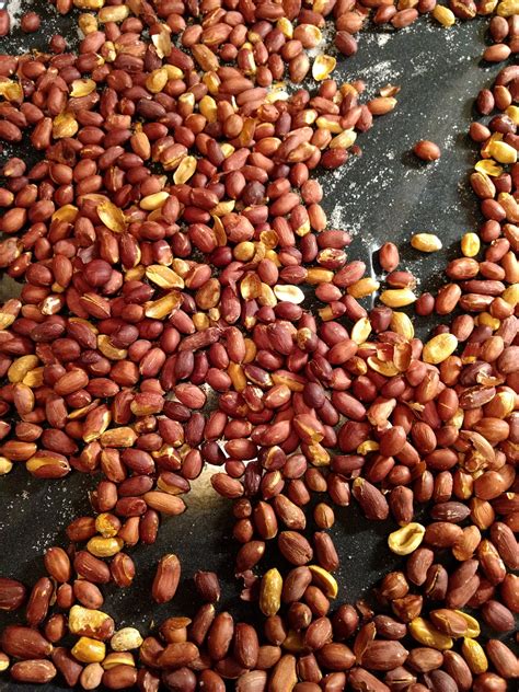 Basic Oven Roasted Peanuts Recipe - Peanuts 101