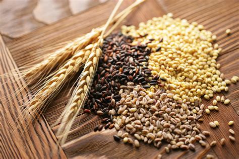 Healthy Grain Benefits at Whitley Llamas blog