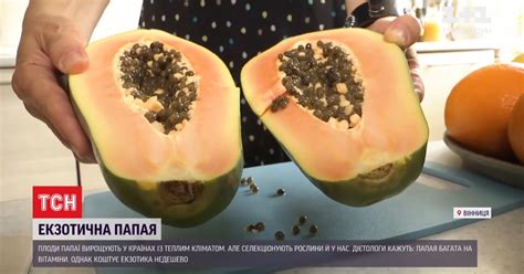 Родом из тропиков: чем полезна экзотическая папайя и какова ее цена в ...